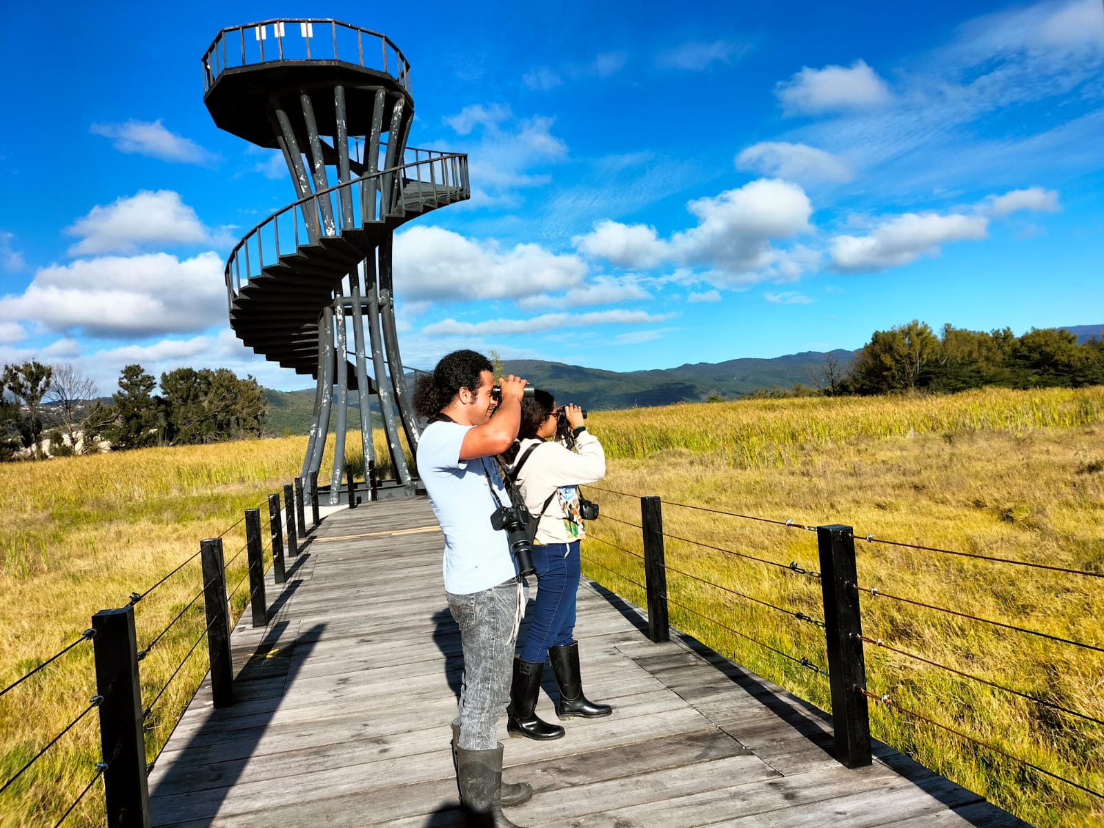 Orquidario y Jardín Botánico “Comitán” un Hotspot para la observación ...
